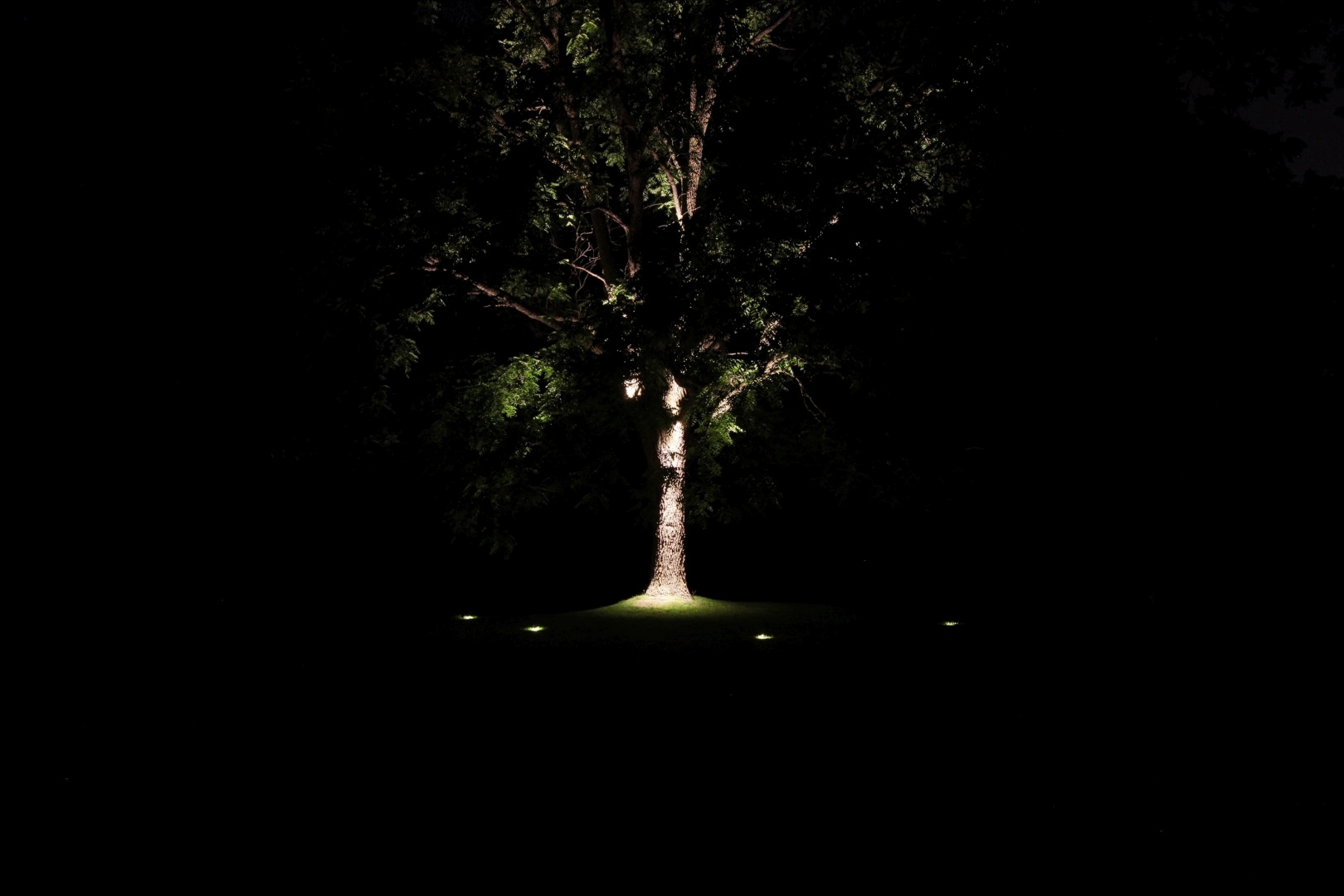 Landscape Lighting - Moon Glow Lightscapes