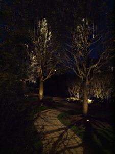 Landscape Lighting - Moon Glow Lightscapes