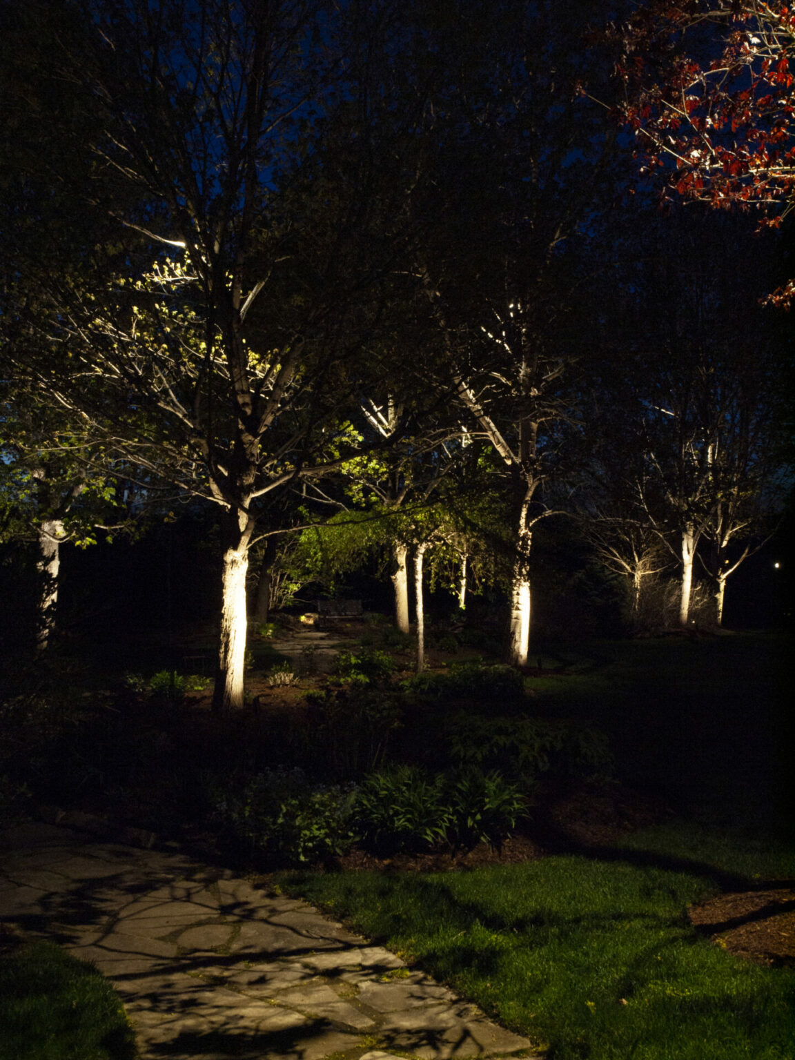 Landscape Lighting - Moon Glow Lightscapes