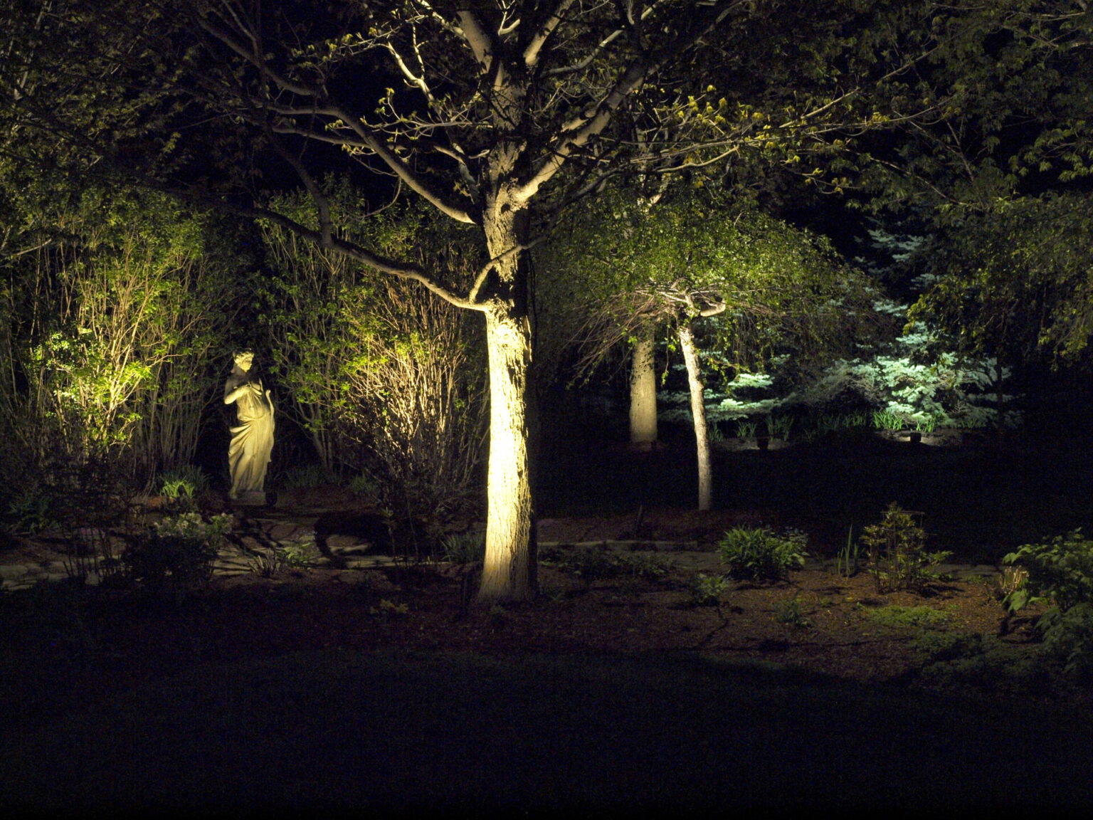 Landscape Lighting - Moon Glow Lightscapes