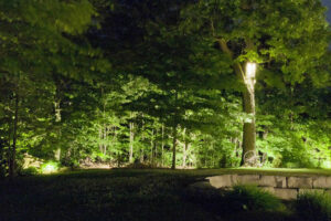 Landscape Lighting - Moon Glow Lightscapes