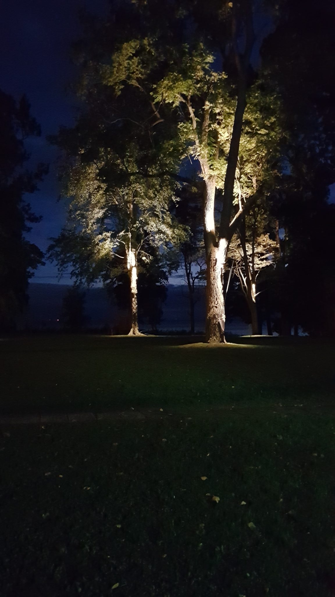 Landscape Lighting - Moon Glow Lightscapes
