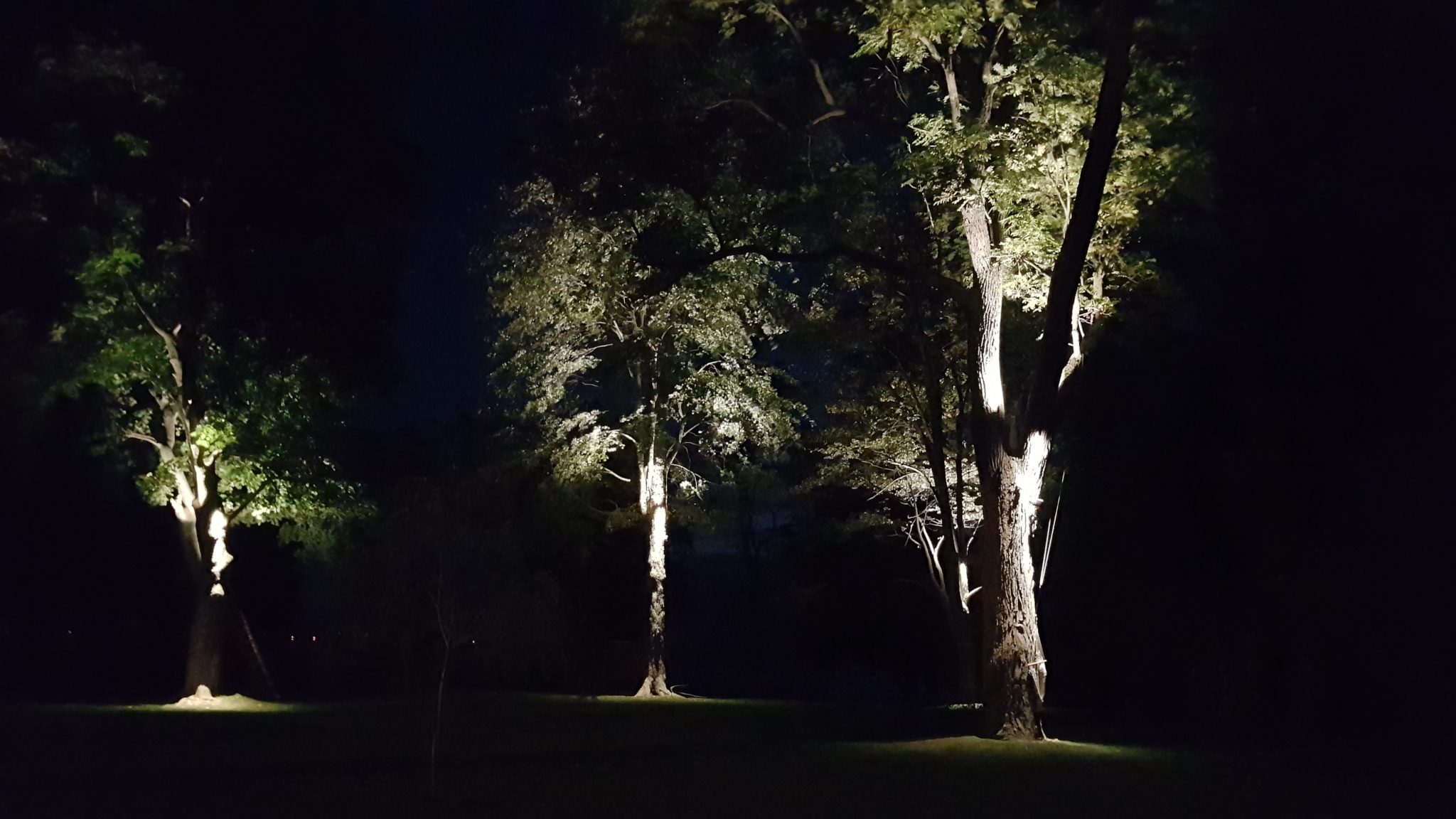 Landscape Lighting - Moon Glow Lightscapes