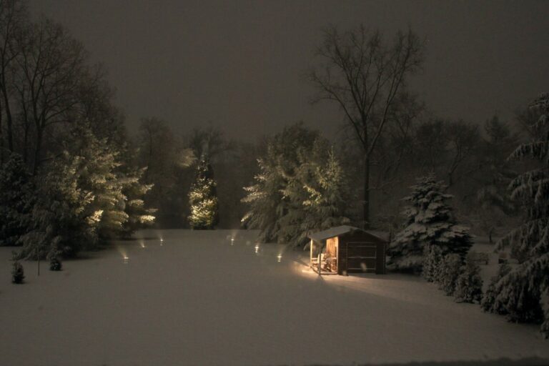 Landscape Lighting - Moon Glow Lightscapes